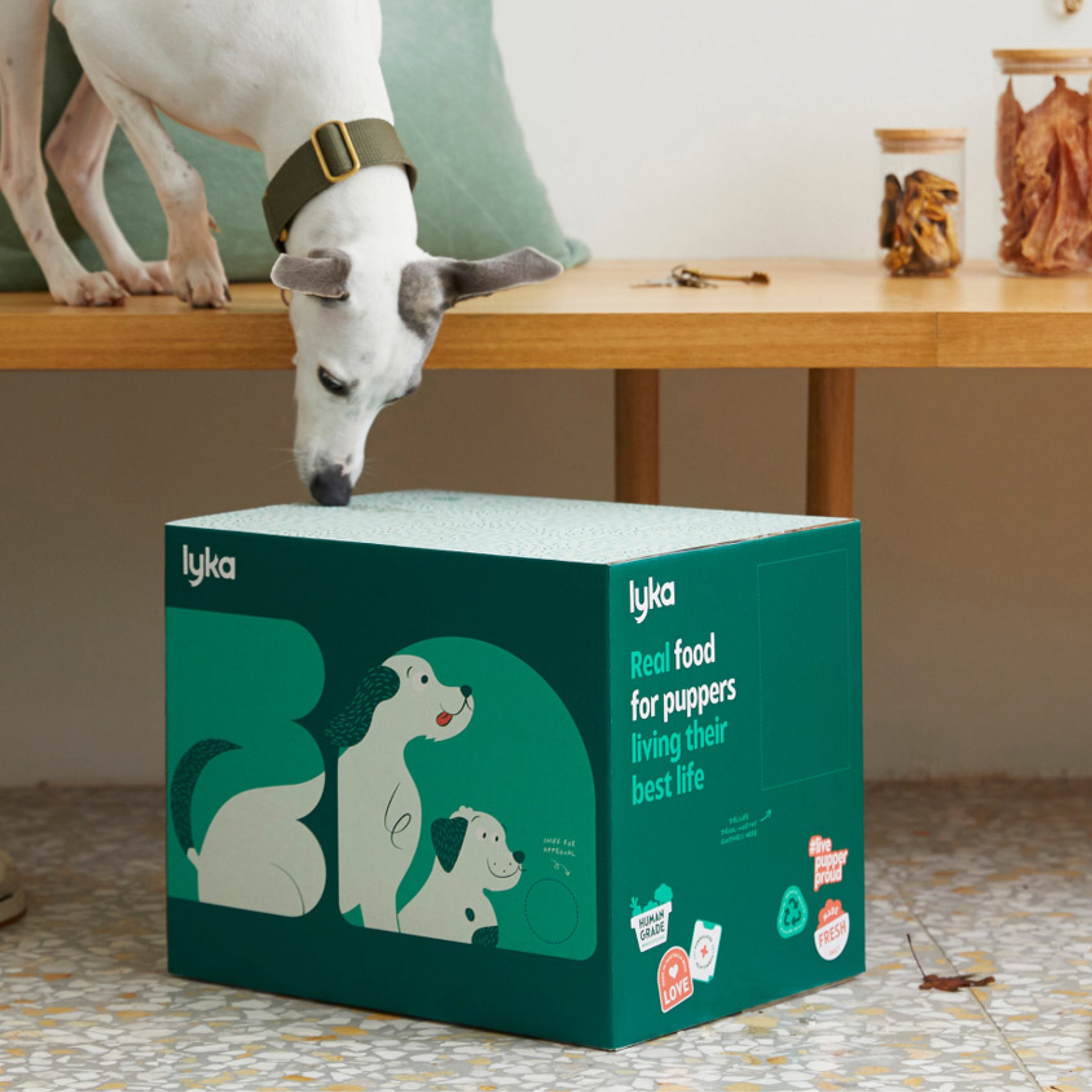 Made Together | The design studio for new ideas