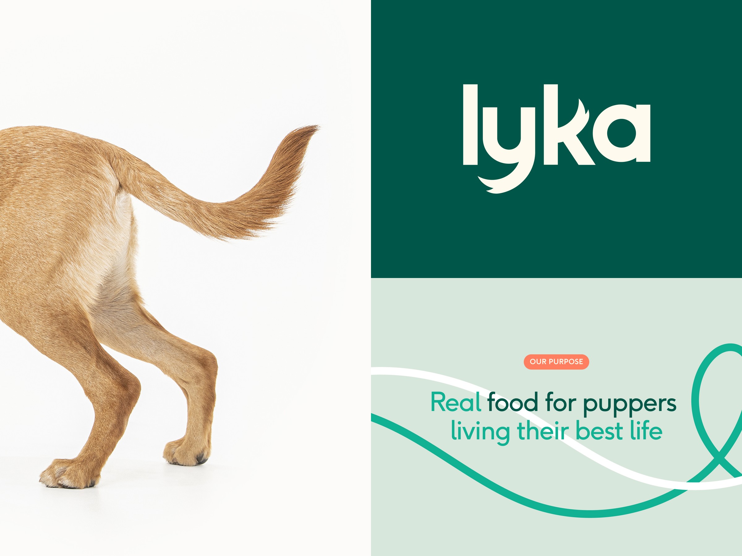 Lyka | Made Together